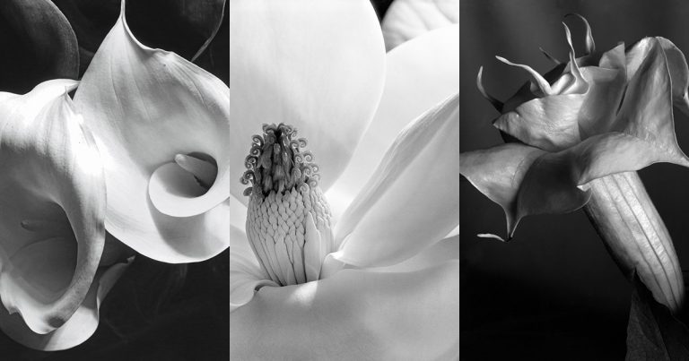 directa archivos - 3 minutos de arte